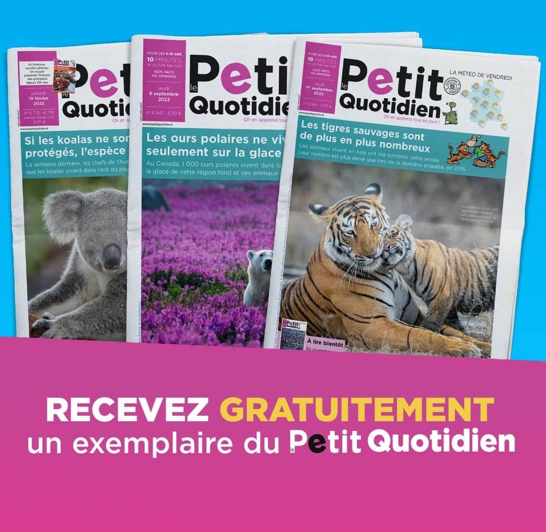 Gratuit : Mon Quotidien - Bons Plans Maman Geek : Promos, Bons Plans ...